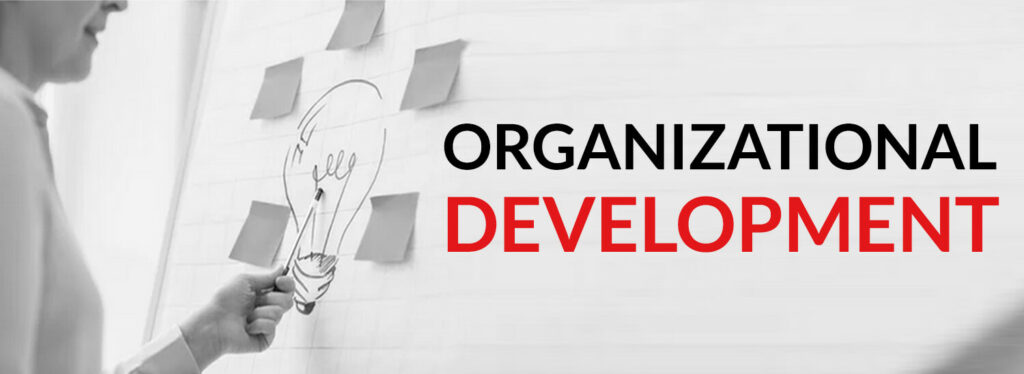 Organizational Development - Consulting Impact